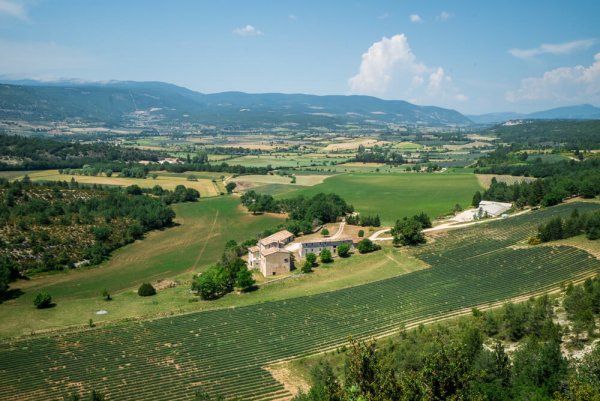 See the Lavender Fields in Beautiful Provence, France