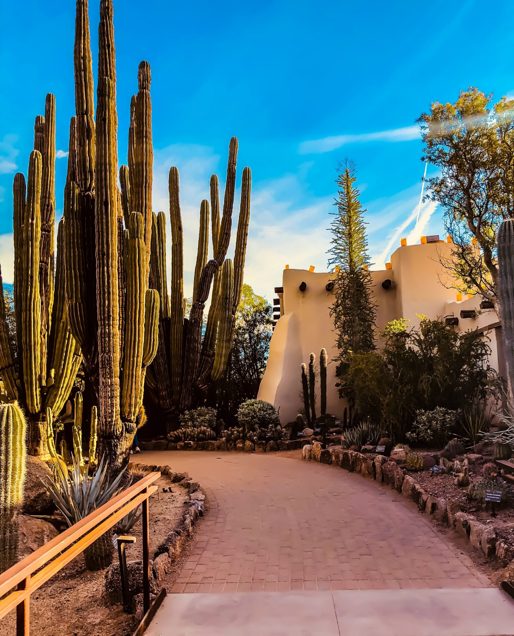 12 of the Best Things to Do in Arizona in December - Be My Travel Muse