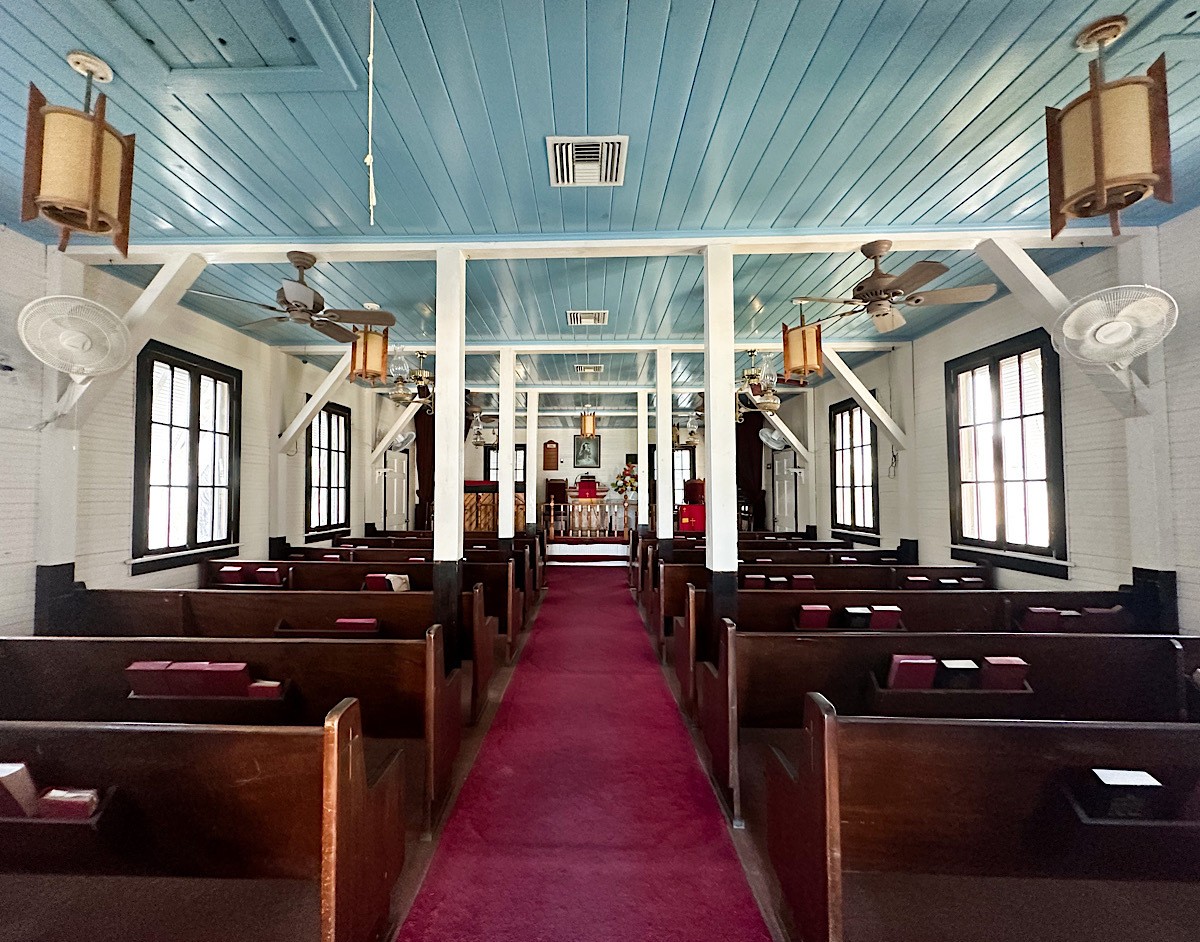 20 Magical Things to Do in Bimini, Bahamas - Be My Travel Muse