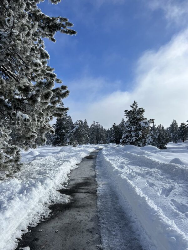 26 Best Things to Do and See in Truckee, California in 2023 - Be My ...