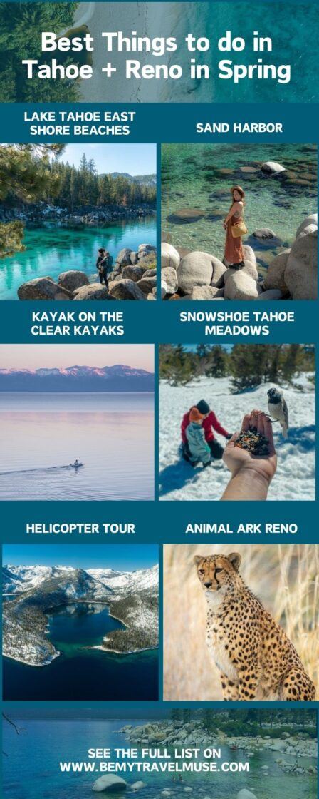 20 Best Lake Tahoe + Reno Things to Do in SPRING (From a Local)