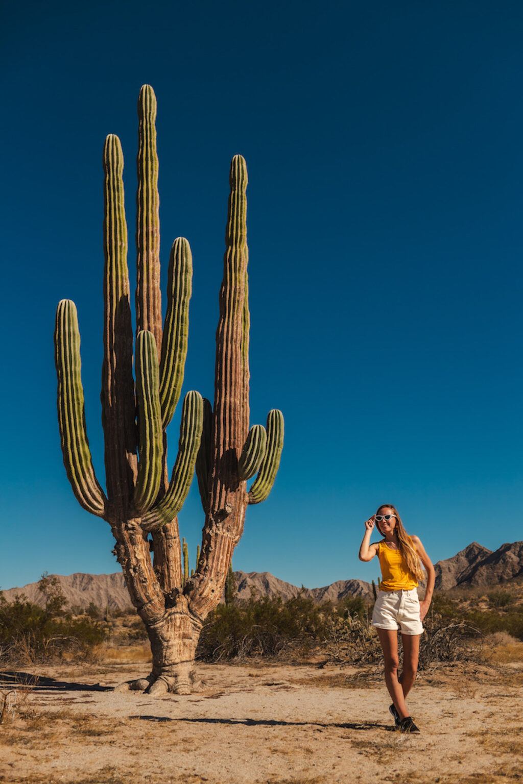 Baja Norte vs Baja California Sur: Which One is Better? - Be My Travel Muse