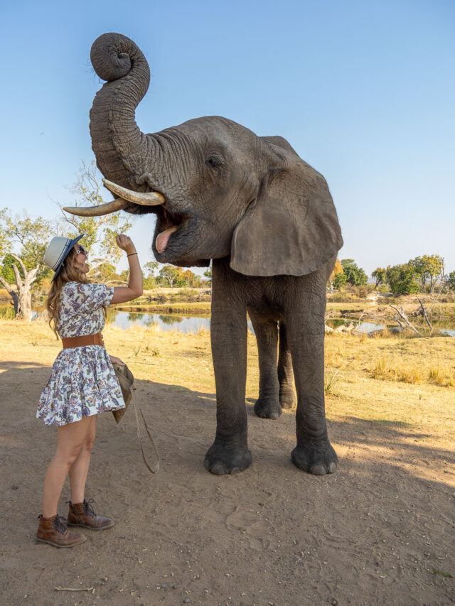 The Perfect Botswana + Victoria Falls Packing List