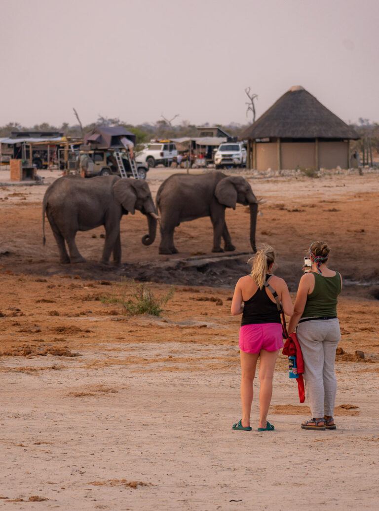 The Perfect Botswana + Victoria Falls Packing List
